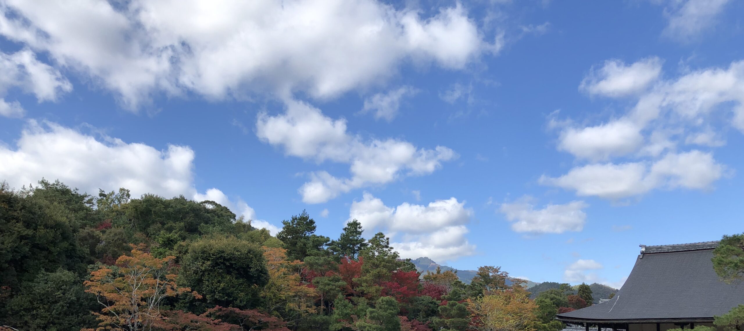 byakkoya blog | byakkoya blog